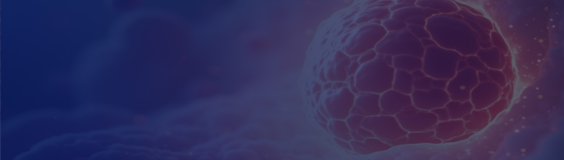 Everything you need to know about germ cell tumors.