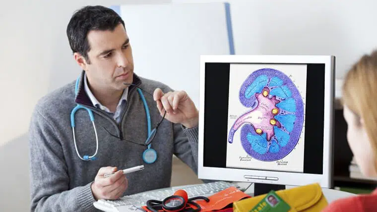 Sheba Leads Research to Help Kidneys Regenerate